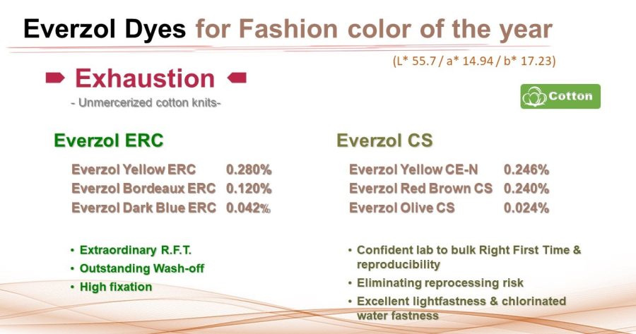 Best recipes recommend for Fashion Color 2025 - Everlight Colorants ...